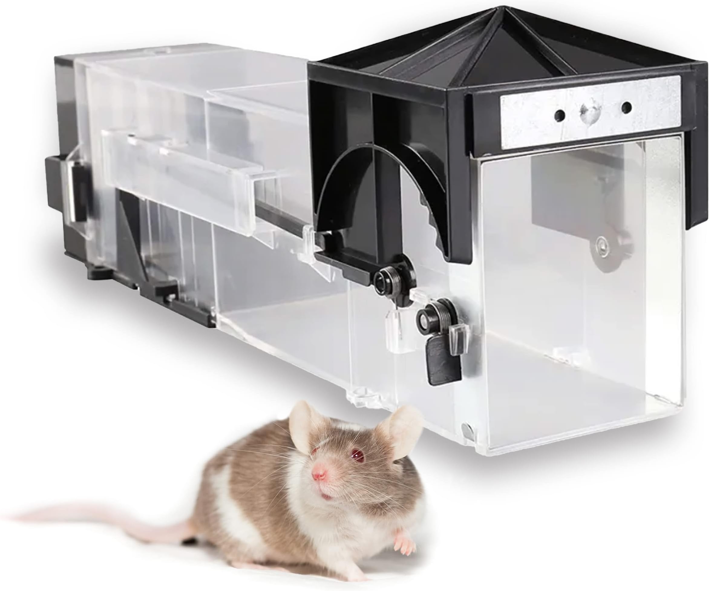 Humane Mouse Trap, Mouse Traps for Indoors or Outdoors, Works on Mice ...
