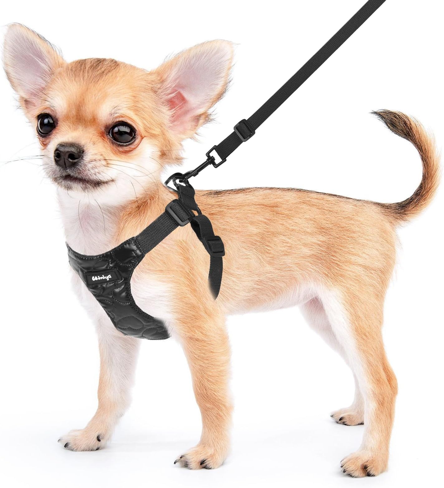 Pettorina per Cani, Pettorina per Cani Taglia Piccola, Imbracatura per ...