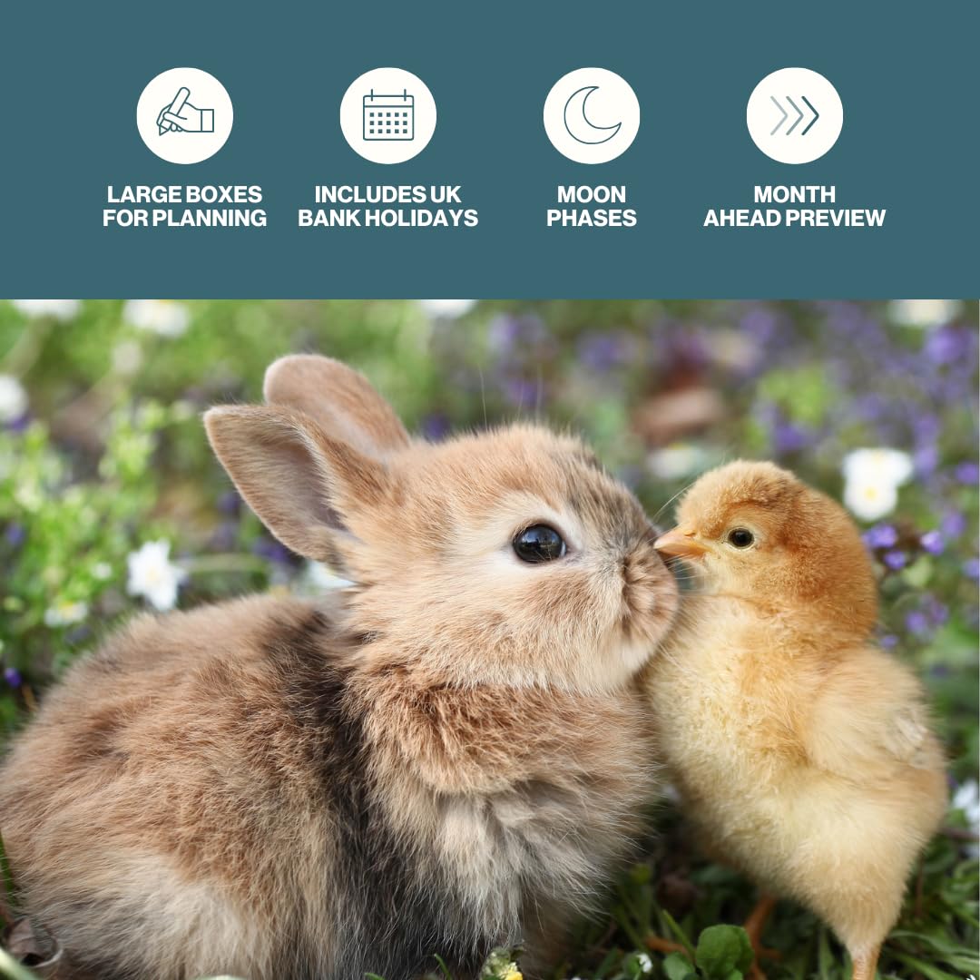 Our World Bunnies Rabbits Calendar 2025 UK – Large 12 Month 2025 ...