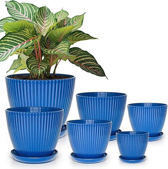 Amazon.com: BTPLASTIK Plant Pots 6 Pack, Multi-Size Flower Pots with ...