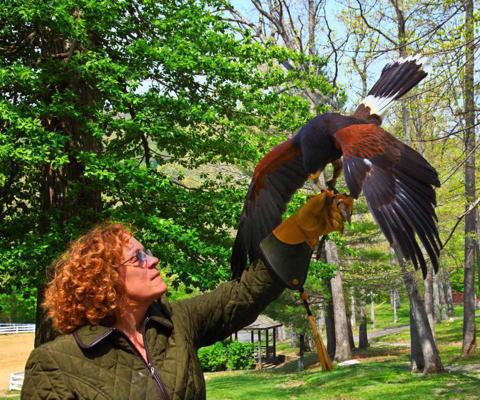 Amazon.co.uk: Kate Rowinski: books, biography, latest update