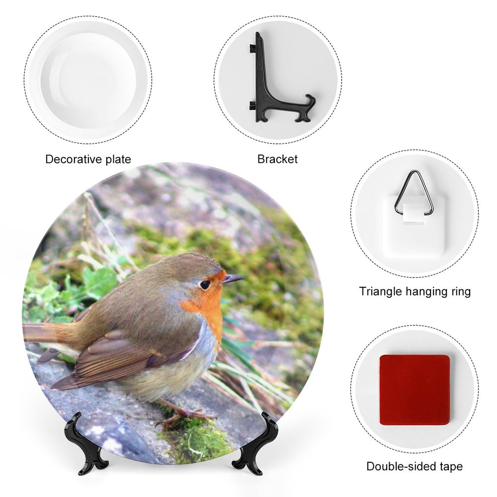 Decorative Bird Plates In Wire Holder The 2 Best Smart Bird Feeders Of