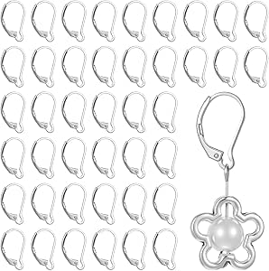 Amazon.com: 50 PCS Stainless Steel Lever Back Earring Clasps, Metal ...