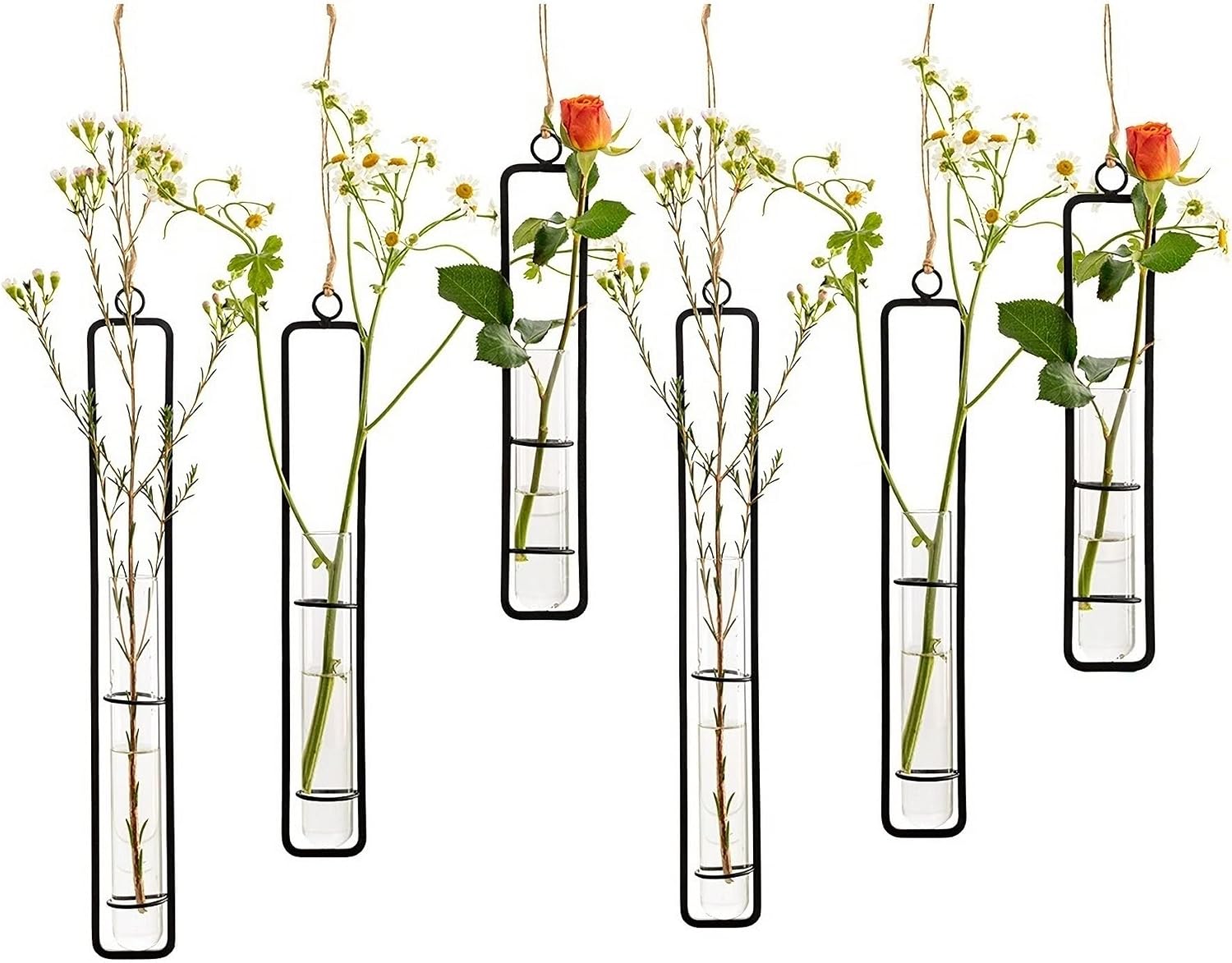 Amazon.com: Hanging Glass Planter, Set of 6 Metal Plant Hanger with ...