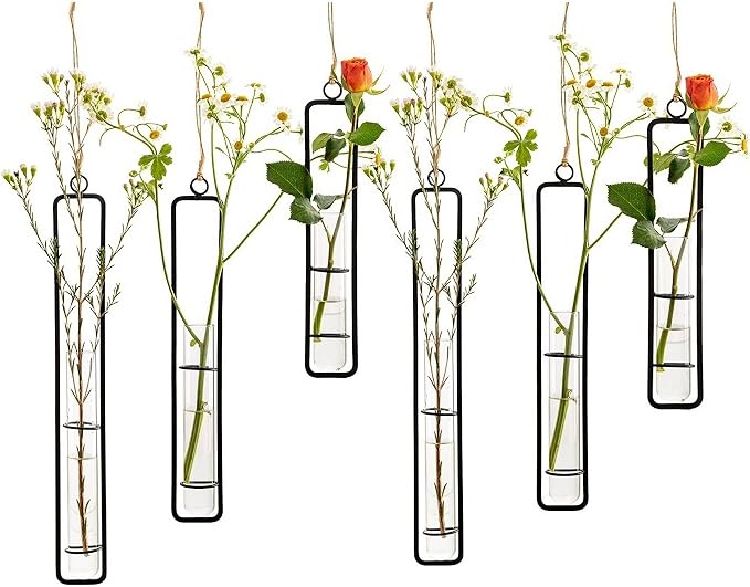 Amazon.com: Hanging Glass Planter, Set of 6 Metal Plant Hanger with ...