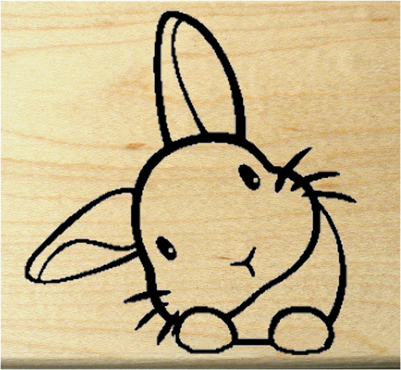 Amazon.com: Rabbit Rubber Stamp, Easter Bunny, or House Pet : Toys & Games
