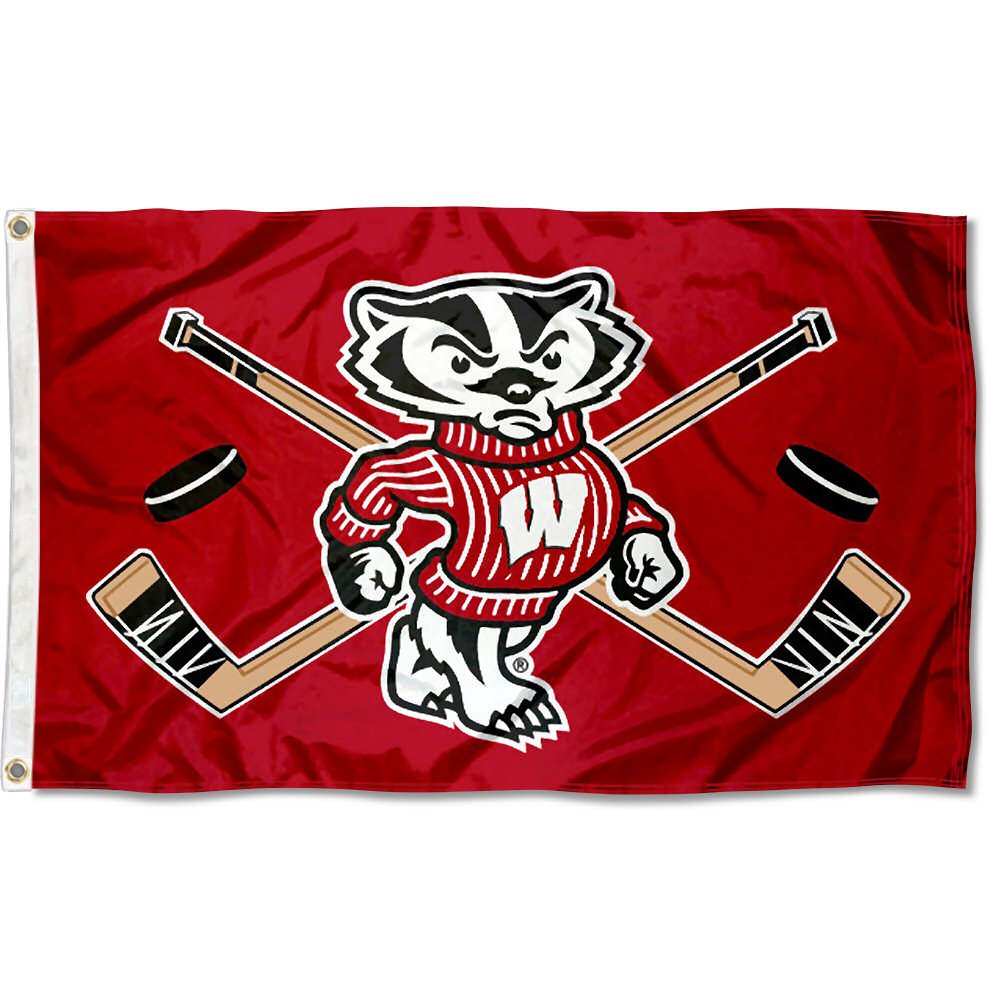 Badgers Hockey Logo