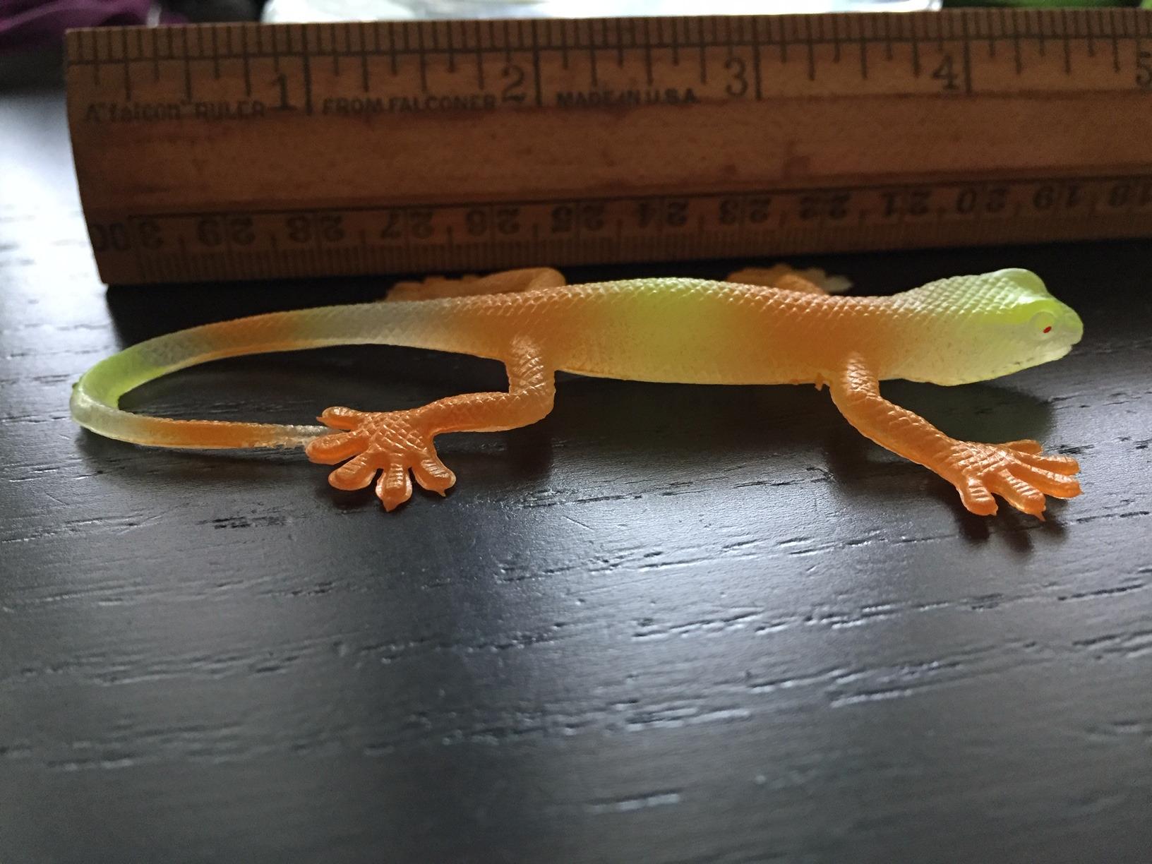 Amazon.com: Fun Express Glow in The Dark Neon Painted Lizards - Toys ...