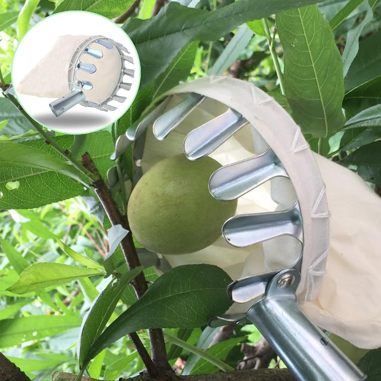 Vegetable Harvesting Aids