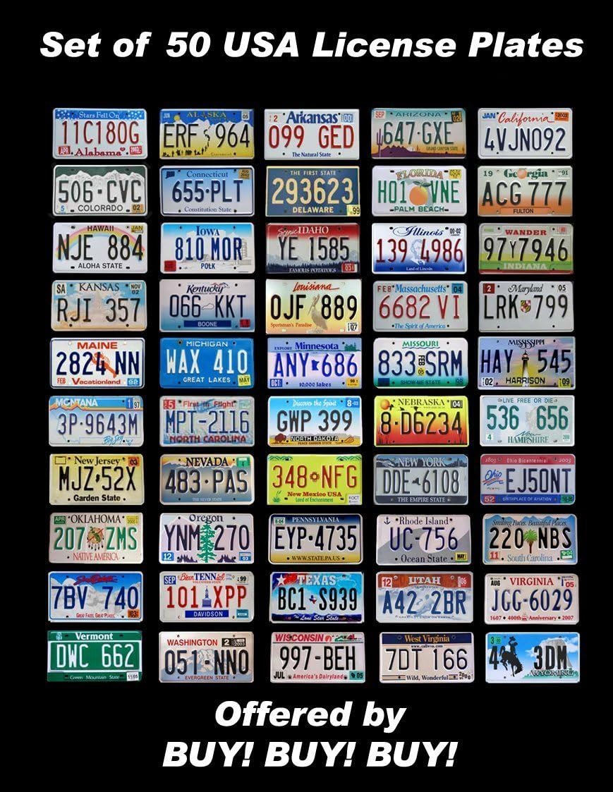 Amazon.com: 50 State's License Plate Run Collection : Automotive