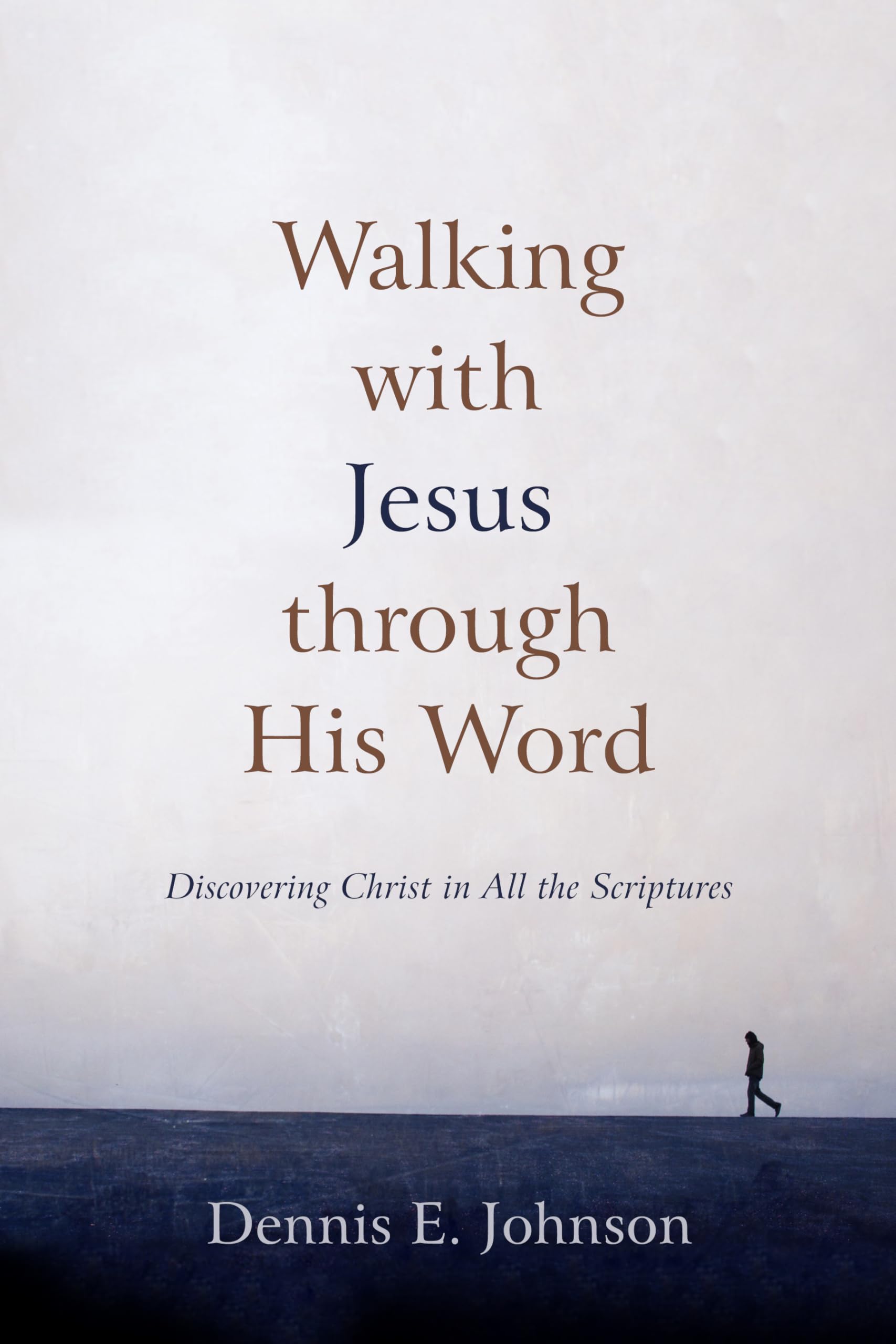 Walking with Jesus through His Word: Discovering Christ in All the ...