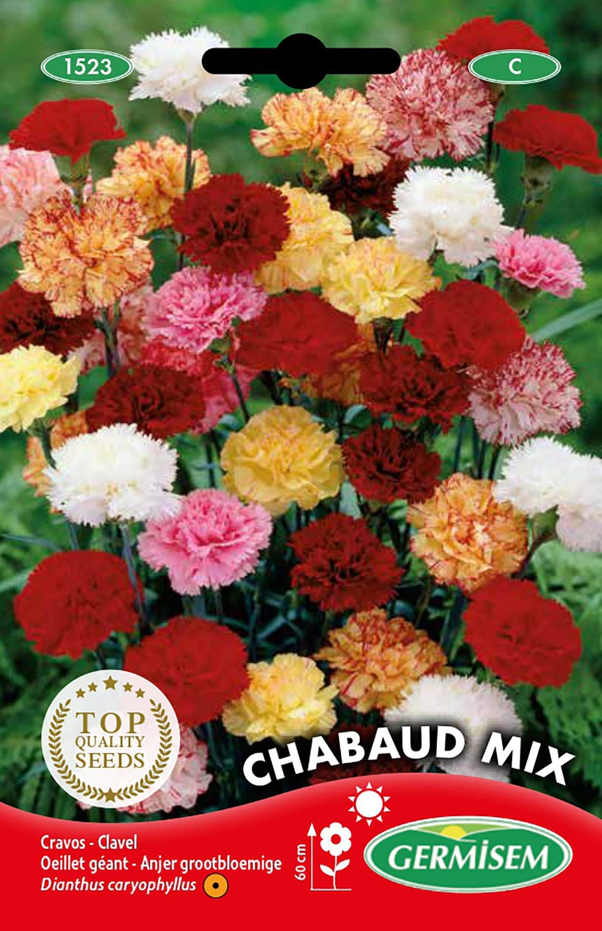 Germisem Graines Oeillet géant CHABAUD MIX : Amazon.fr: Jardin