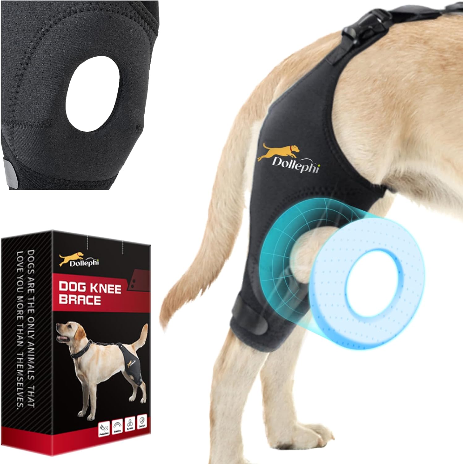 Dollephi Dog Knee Brace for Torn ACL Hind Leg, Support for Patella ...