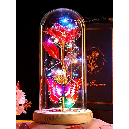 Amazon.com: Beferr Gifts for Women, Birthday Gifts Galaxy Glass Rose ...