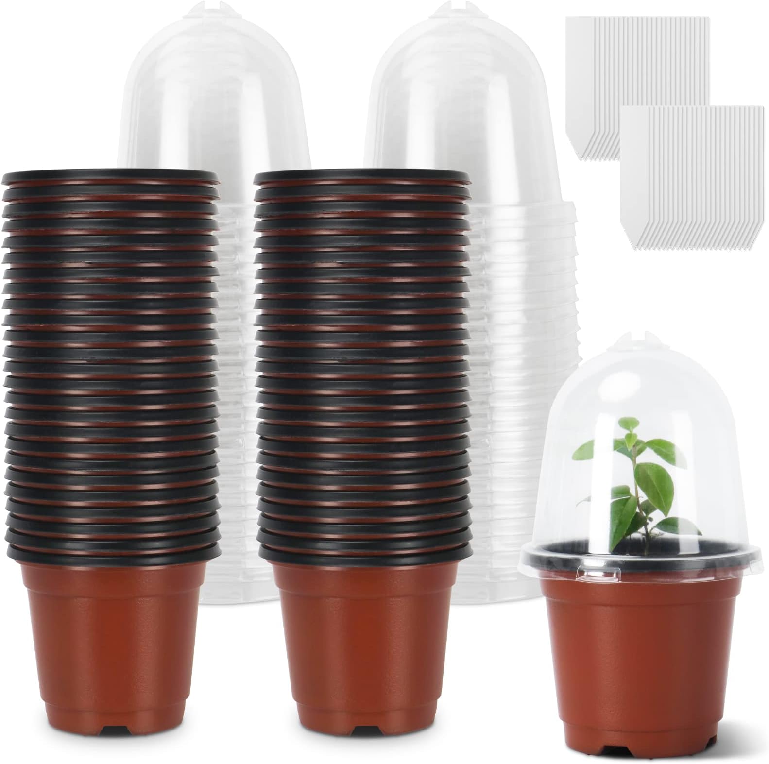 Amazon.com: Baderke 3'' 4'' Clear Durable Nursery Pots with Humidity ...