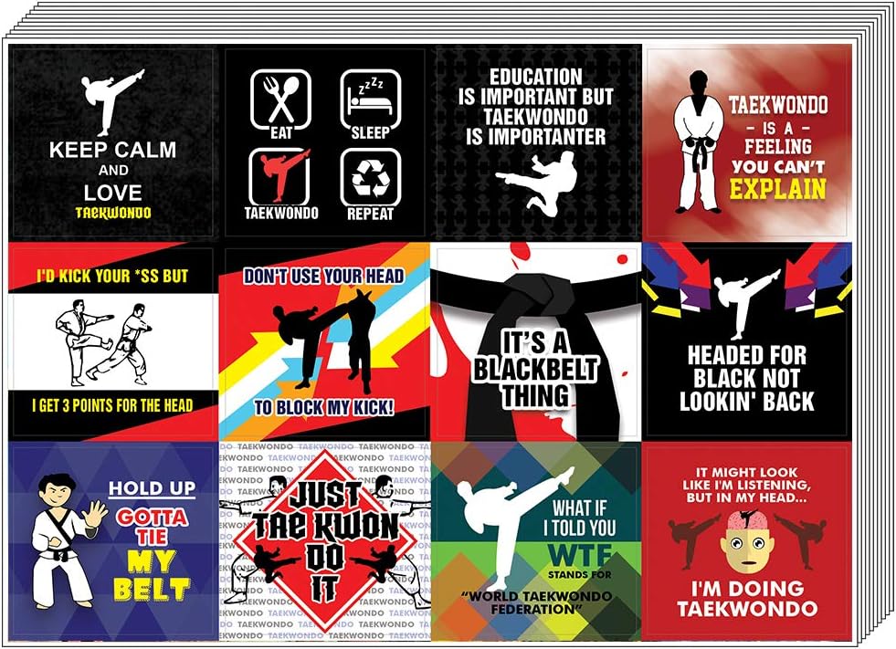 Amazon.com: Taekwondo Stickers 50Pcs Black Belt Self-Protection ...