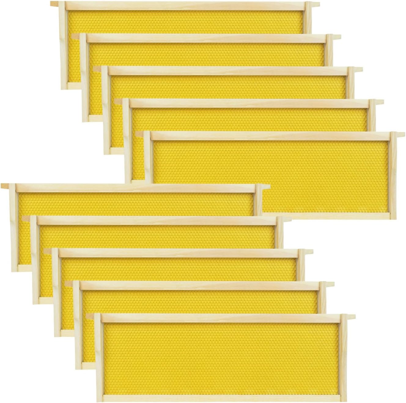 Amazon.com : HiveSweet Medium Beehive Frames with Wax Foundations 10 ...