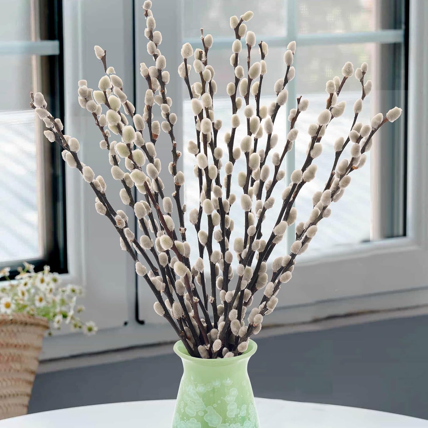 Amazon.com: Oning 20 Stems Real Dried Pussywillow Preserved Greenery ...
