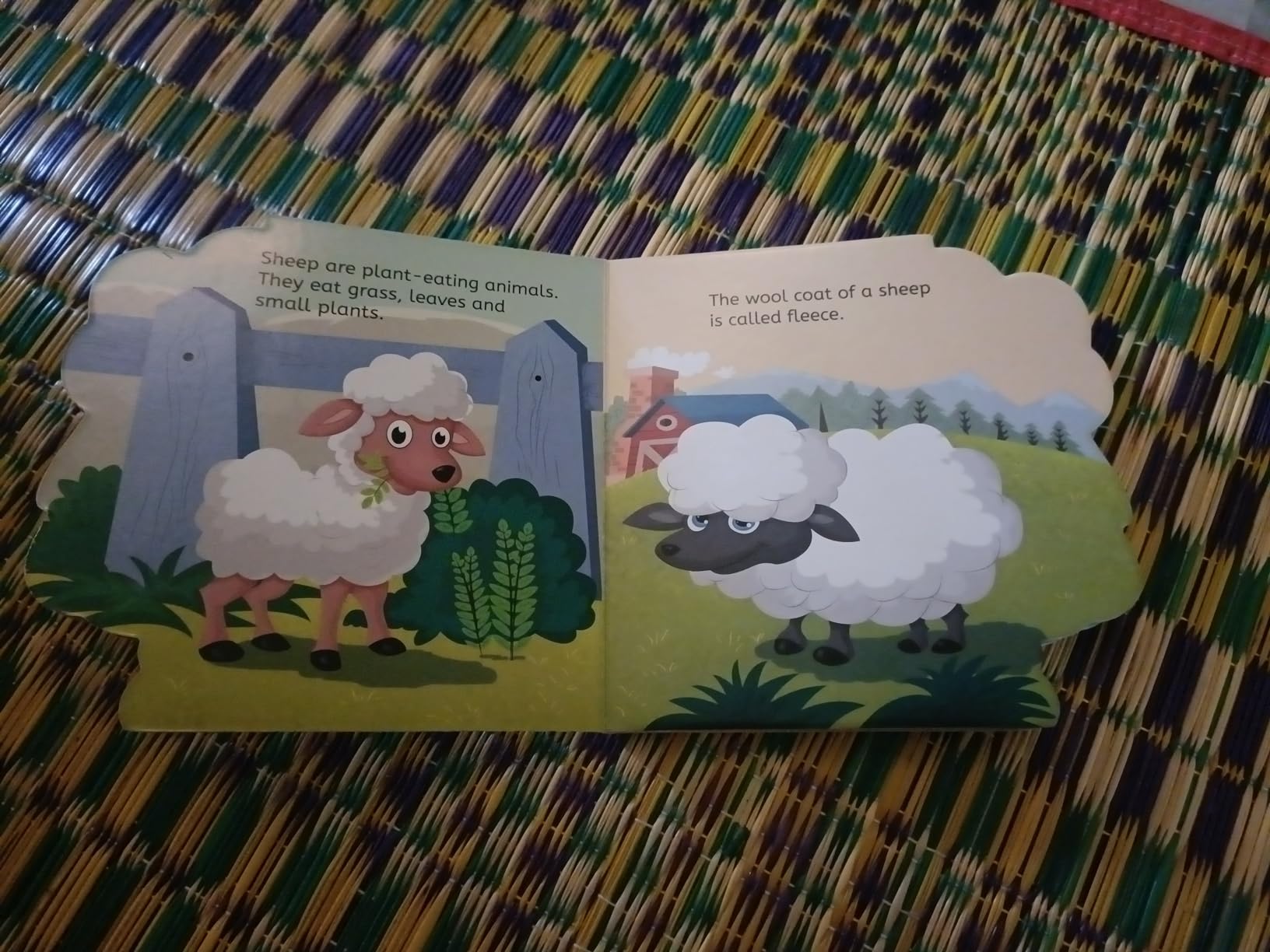 My First Shaped Board Book: Illustrated Sheep - Animal Picture Book for ...