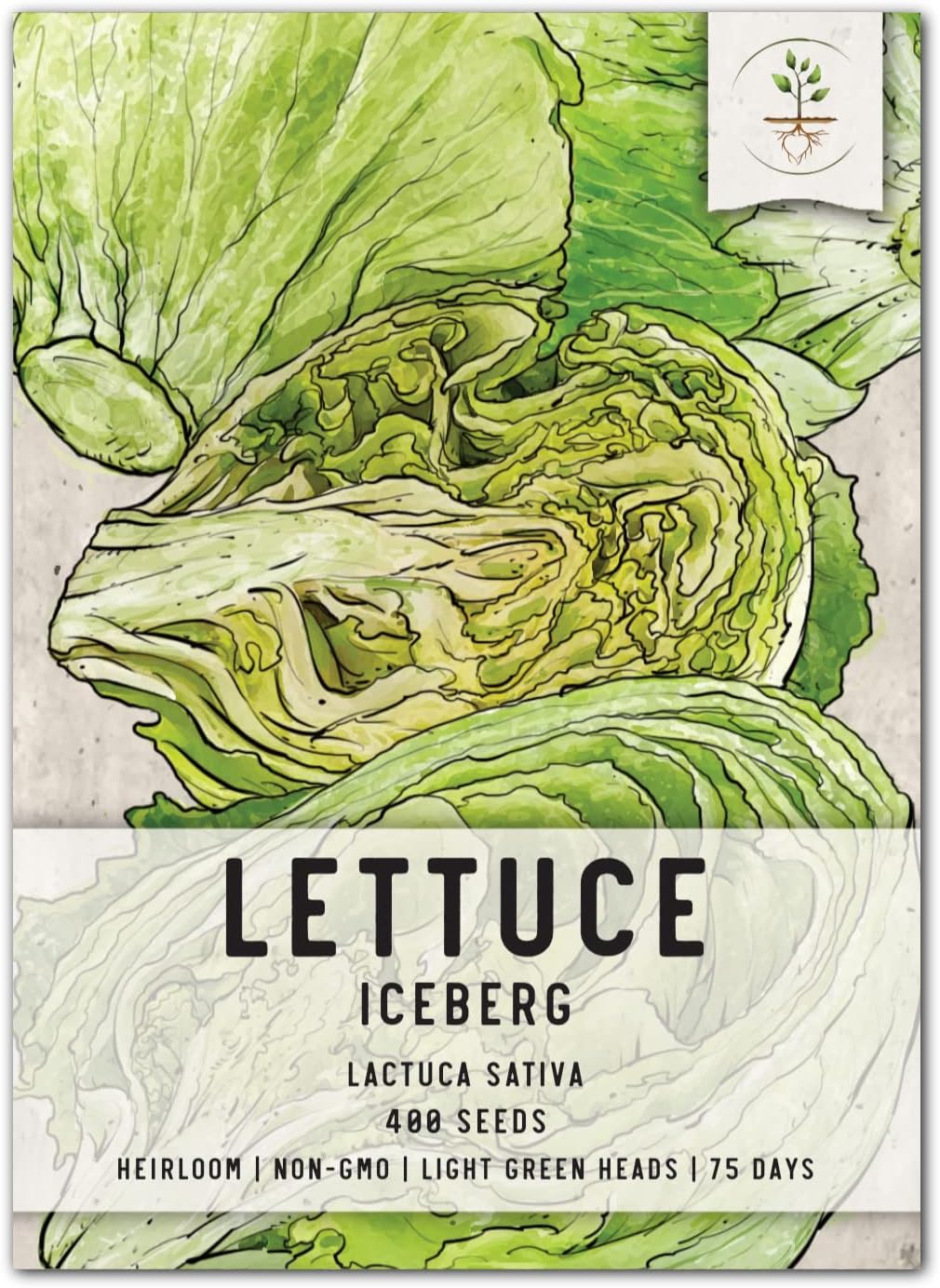 Amazon.com : Iceberg Lettuce Seeds - 1000 Seeds Non-GMO : Patio, Lawn ...