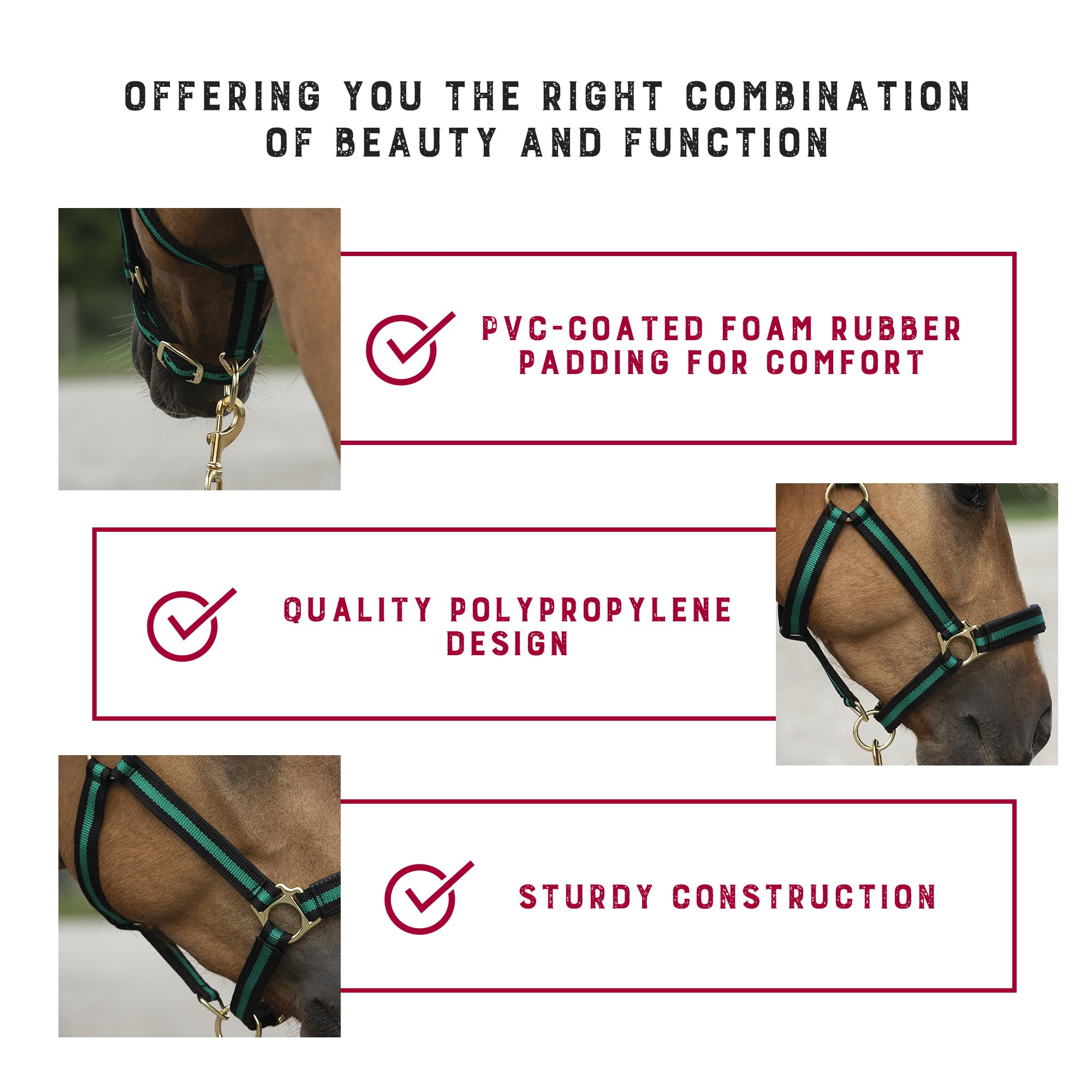 Snapklik.com : Breakaway Horse Halter, Comfort Foam Padding, Adjustable ...