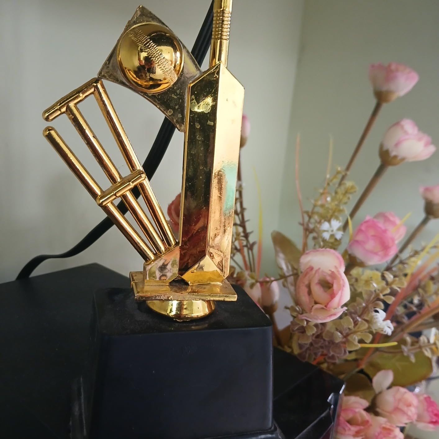 Trophies Man of The Match Cricket Trophy. Award. by TMW : Amazon.in ...