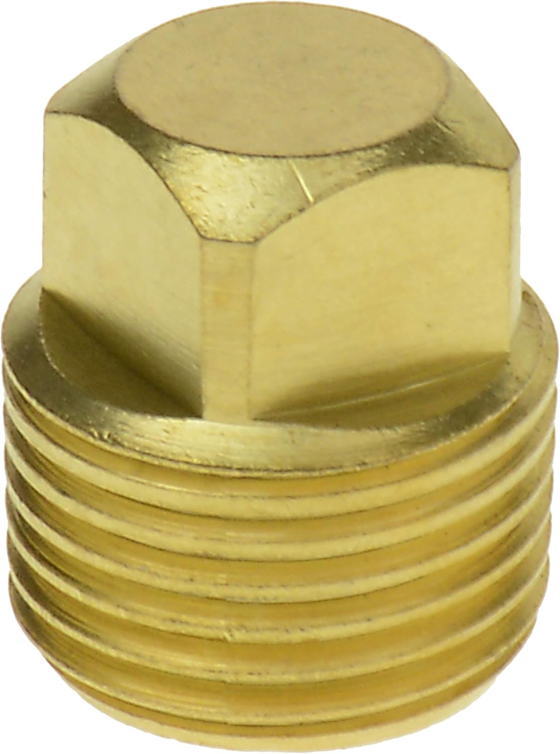 Amazon.com : Shoreline Marine Solid Brass Garboard Drain Plug : Boat ...