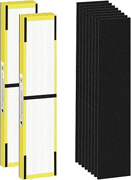 Amazon.com: FLT5000 Replacement Filter C for Germ-Guardian Air Purifier ...