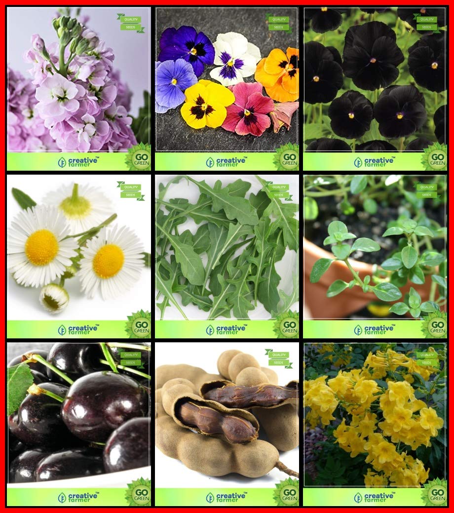 Creative Farmer Garden Flower Seeds All Season Combo Flower Seeds ...