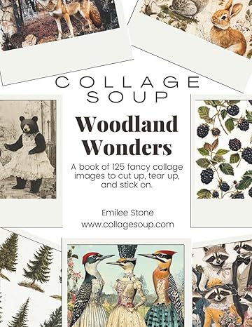 Collage Soup - Woodland Wonders: A book of 125 fancy collage images to ...