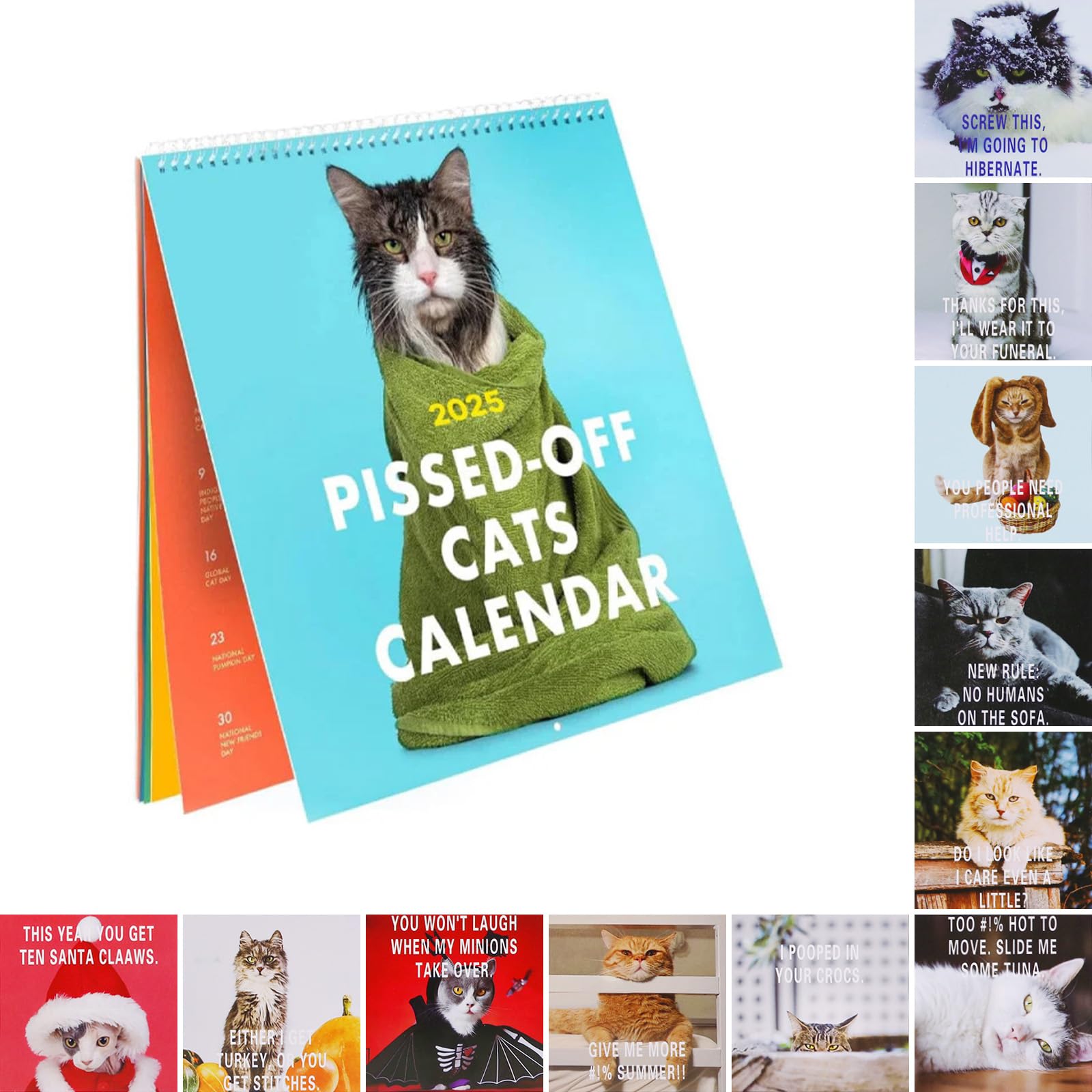 Pissed off Cats Wall Calendar 2025 Funny Cat Wall Calendar 2025 Month ...