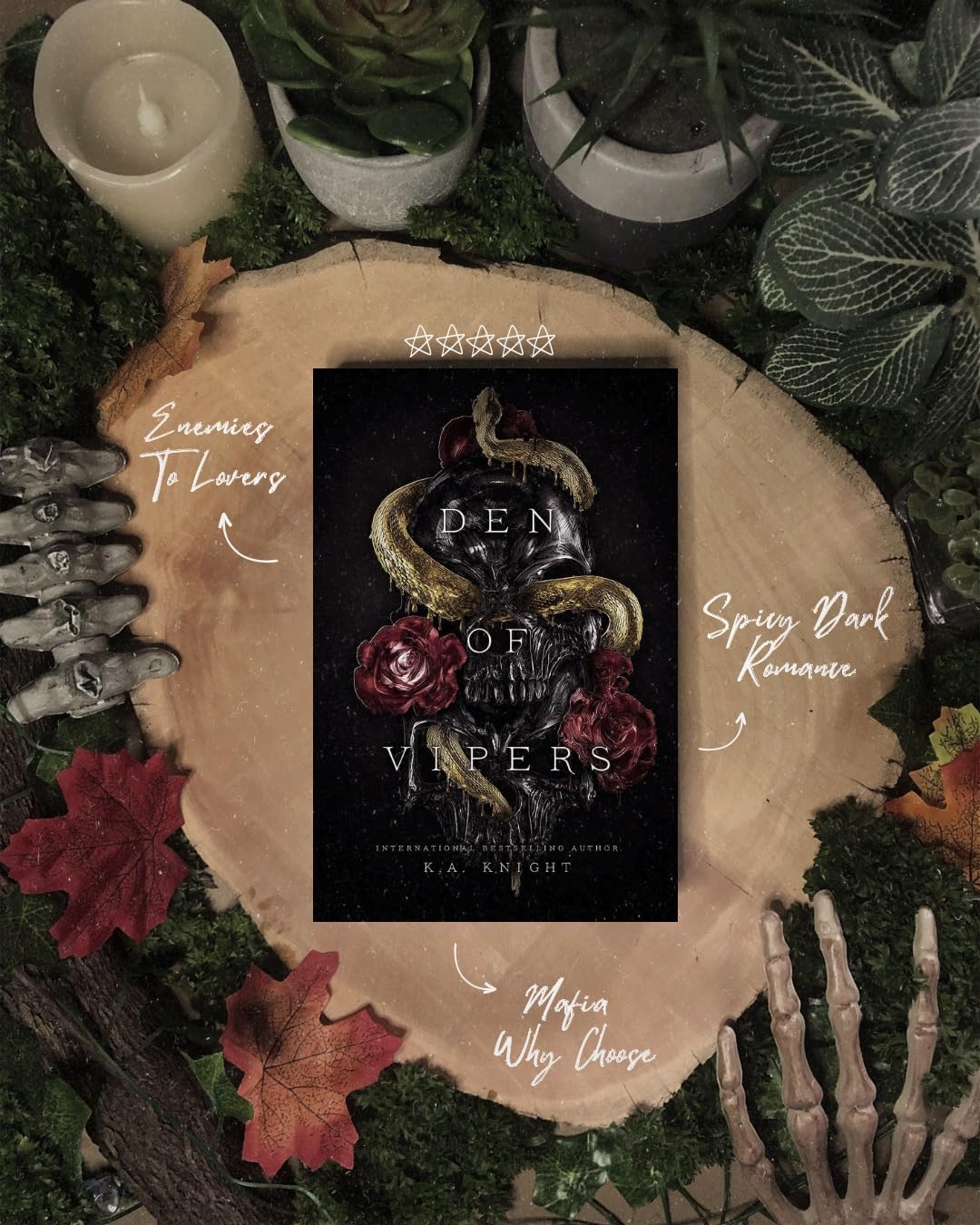 Den of Vipers : Knight, K.A: Amazon.com.au: Books