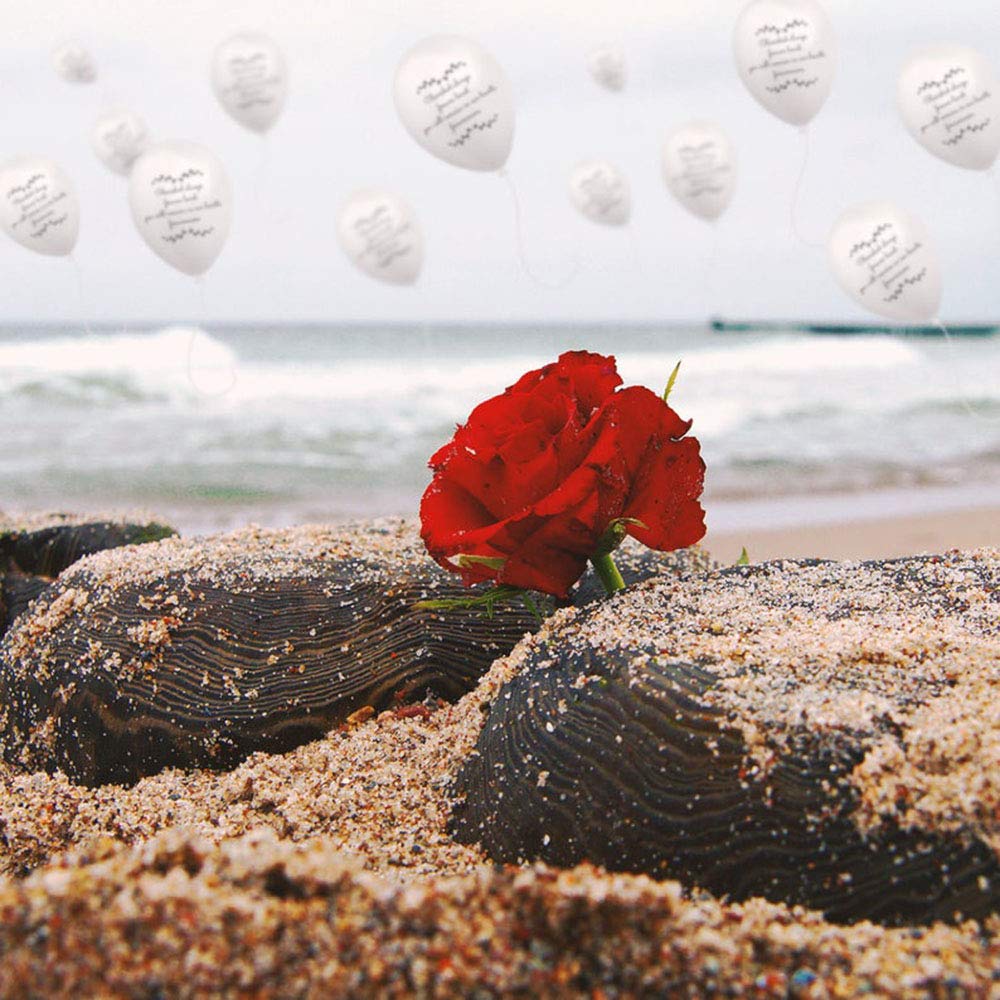 20 Pieces Memorial Funeral Balloons White Remembrance Biodegradable ...