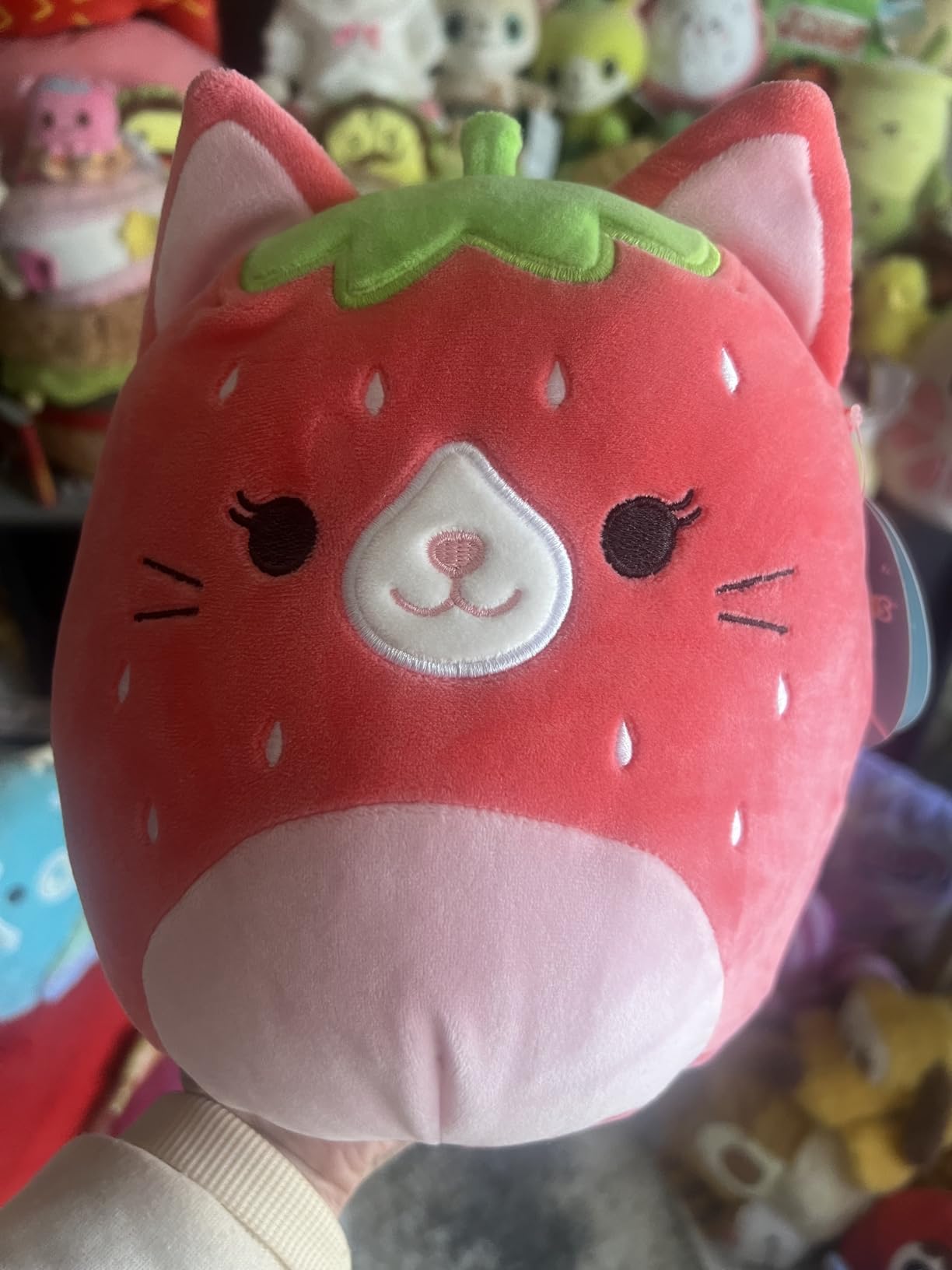 Amazon.com: Squishmallows Original 8-Inch Olma Strawberry Cat ...