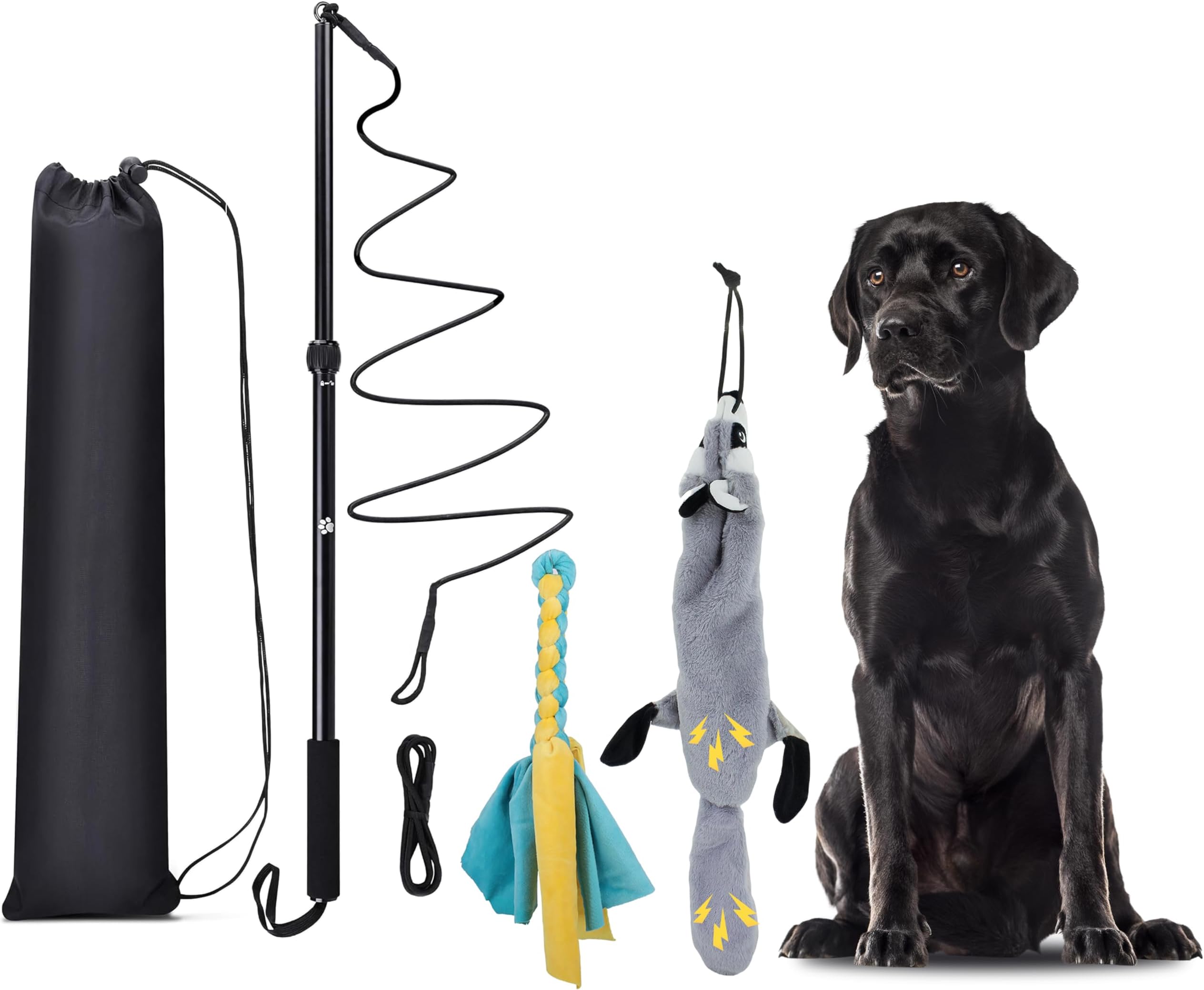 Pet Supplies : KOXXUD Flirt Pole Dogs, Dog Chase Toy with Squeakers ...