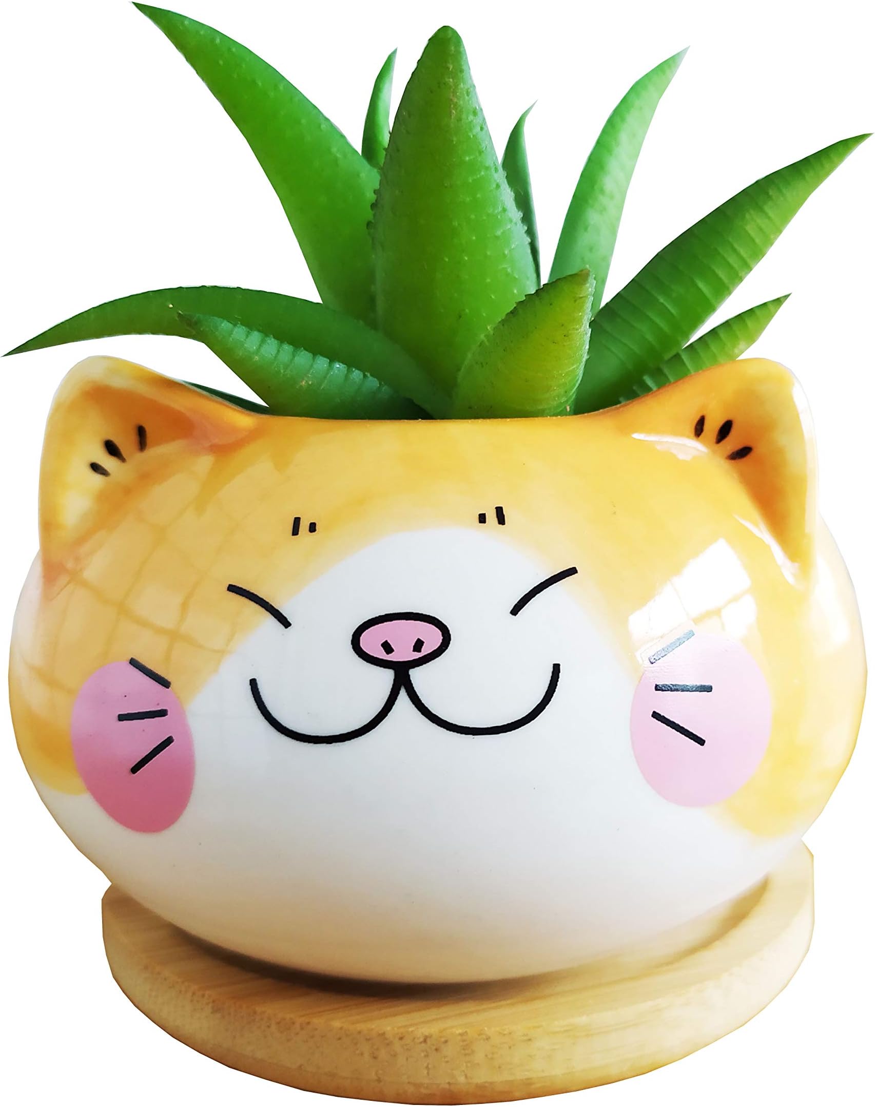 Amazon.com: DEELF OUTLET Cat Succulent Planter - 6 Pack Mini Cat Pots ...