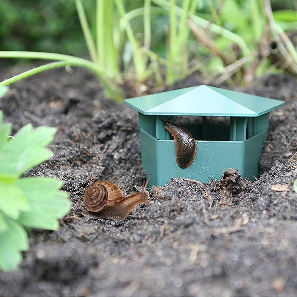 Skystuff 6Pcs Insect Traps Beer Slug Repellent Cage Non Toxic with 2Pcs ...