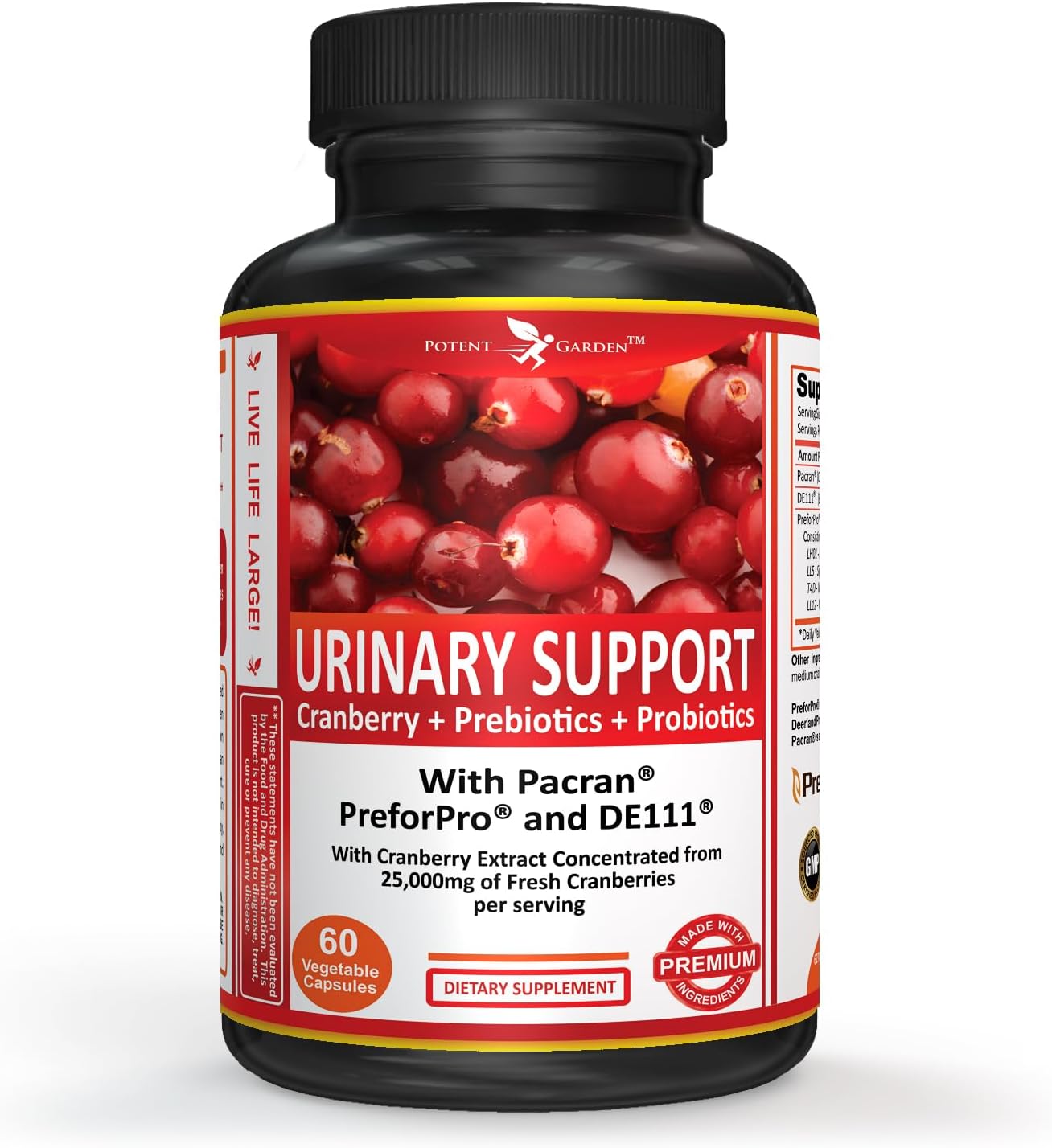 Amazon.com: Clean Nutraceuticals Vaginal Probiotics for Women ...