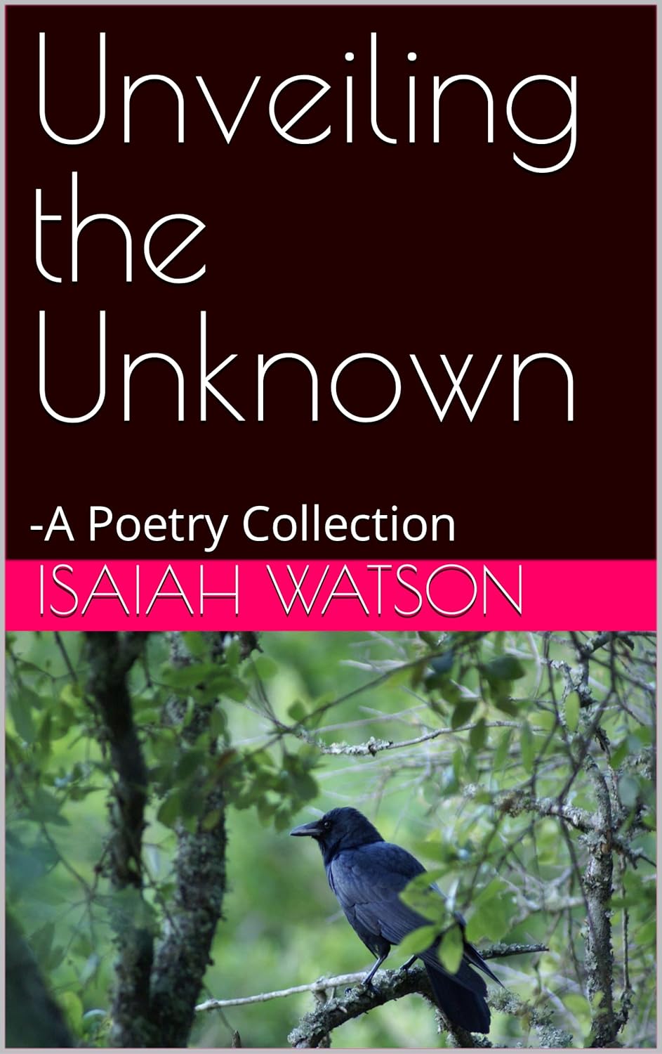Unveiling the Unknown : A Poetry Collection - Kindle edition by Watson ...