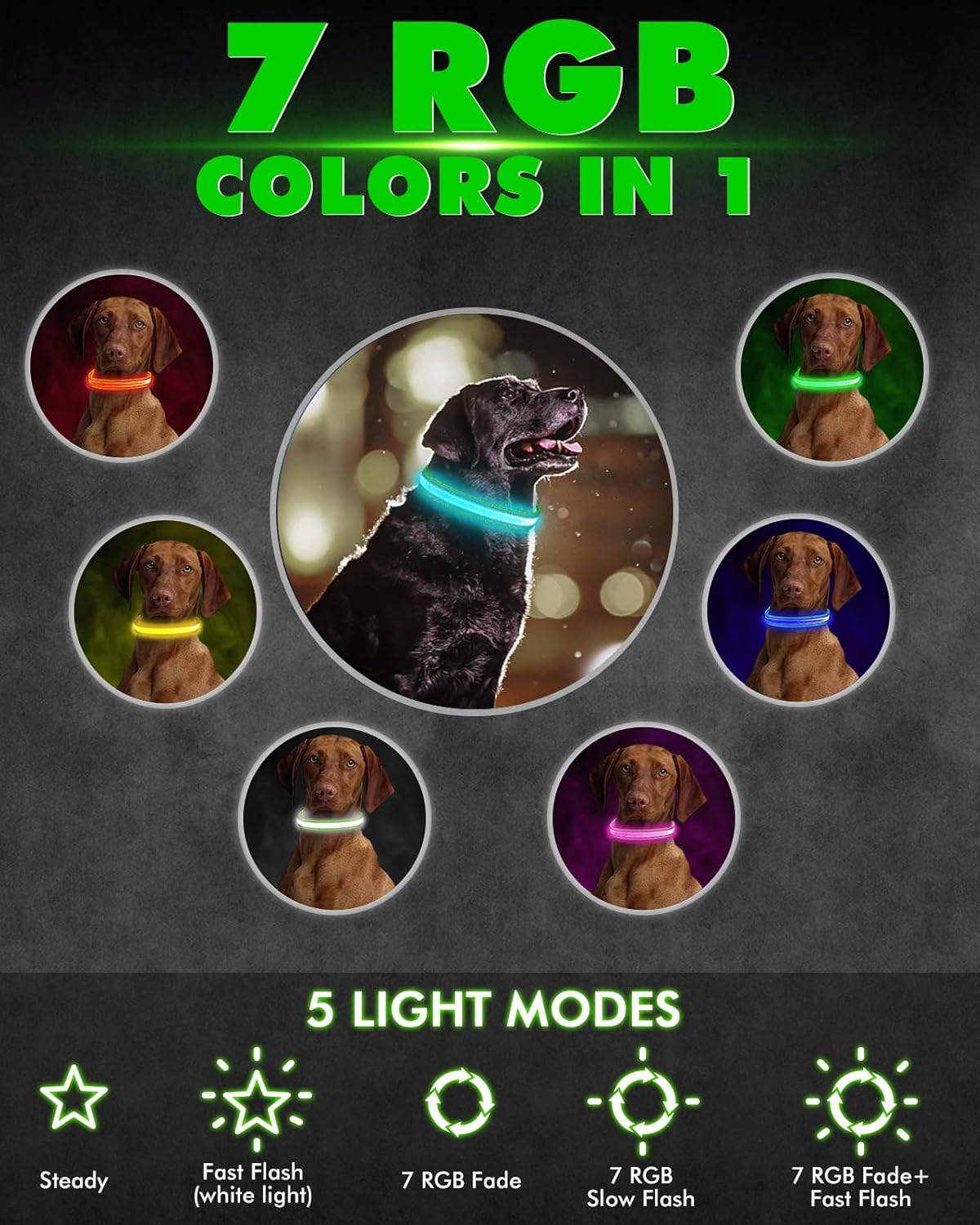 Petbank Collar de perro con luz LED, 7 colores RGB y 5 modos de luz ...