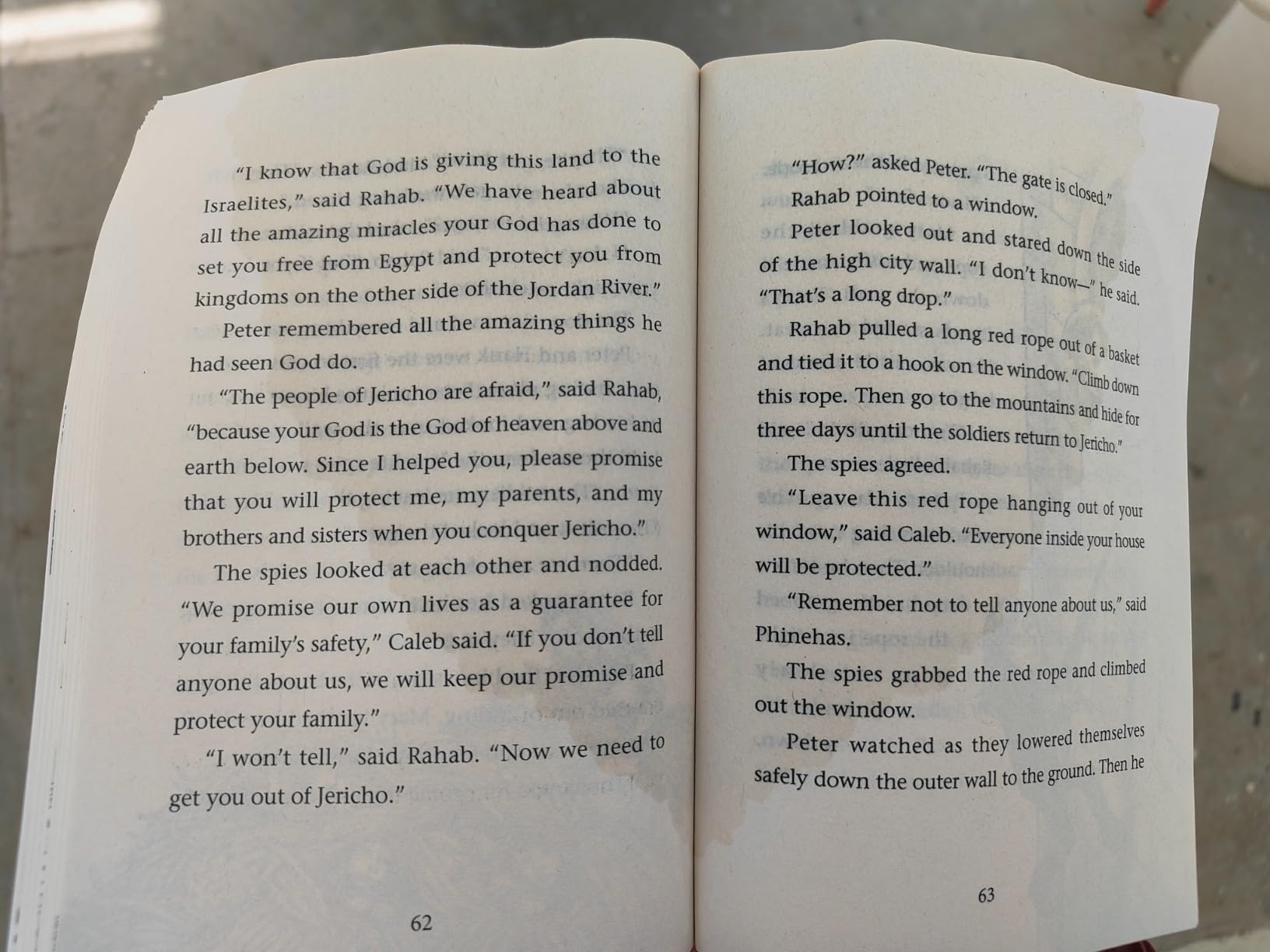 The Secret of the Hidden Scrolls: Journey to Jericho, Book 4 eBook ...