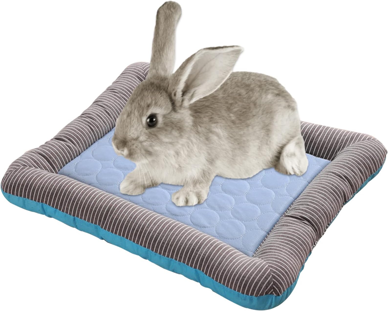 Amazon.com : HzNzYHD 2 Pack Rabbit Cooling Pads - 11.8 x 7.9 in,Self ...