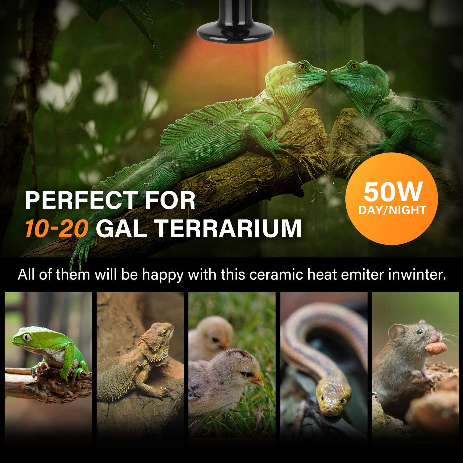 Snapklik.com : 50W Ceramic Heat Emitter Reptile Heat Lamp Bulb No Light ...