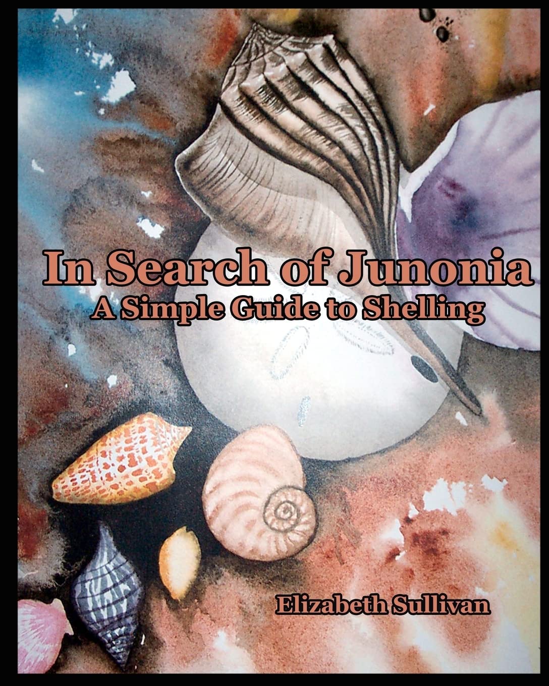 In Search Of Junonia: A Simple Guide To Shelling: Sullivan, Elizabeth ...