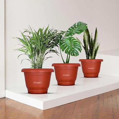 CINAGRO Plastic Round Pot (10 inch - Pack of 3) Gamla Pot, UV Treated ...