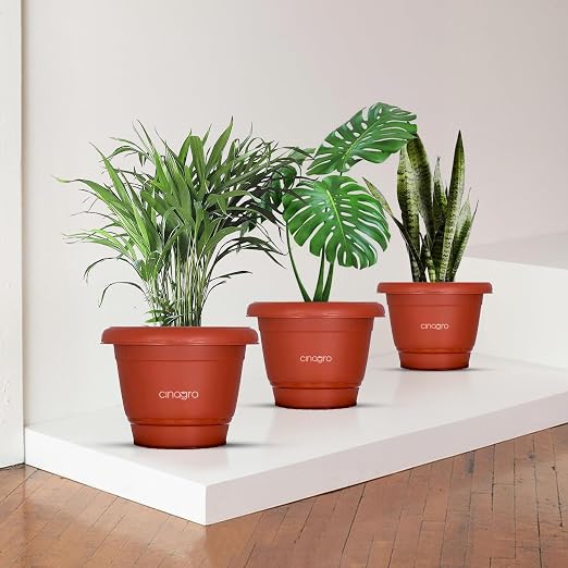 CINAGRO Plastic Round Pot (6 inch - Pack of 3) Gamla Pot, UV Treated ...