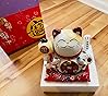 Amazon.com: Large Ceramic Maneki Neko Beckoning Lucky Money Cat Waving ...
