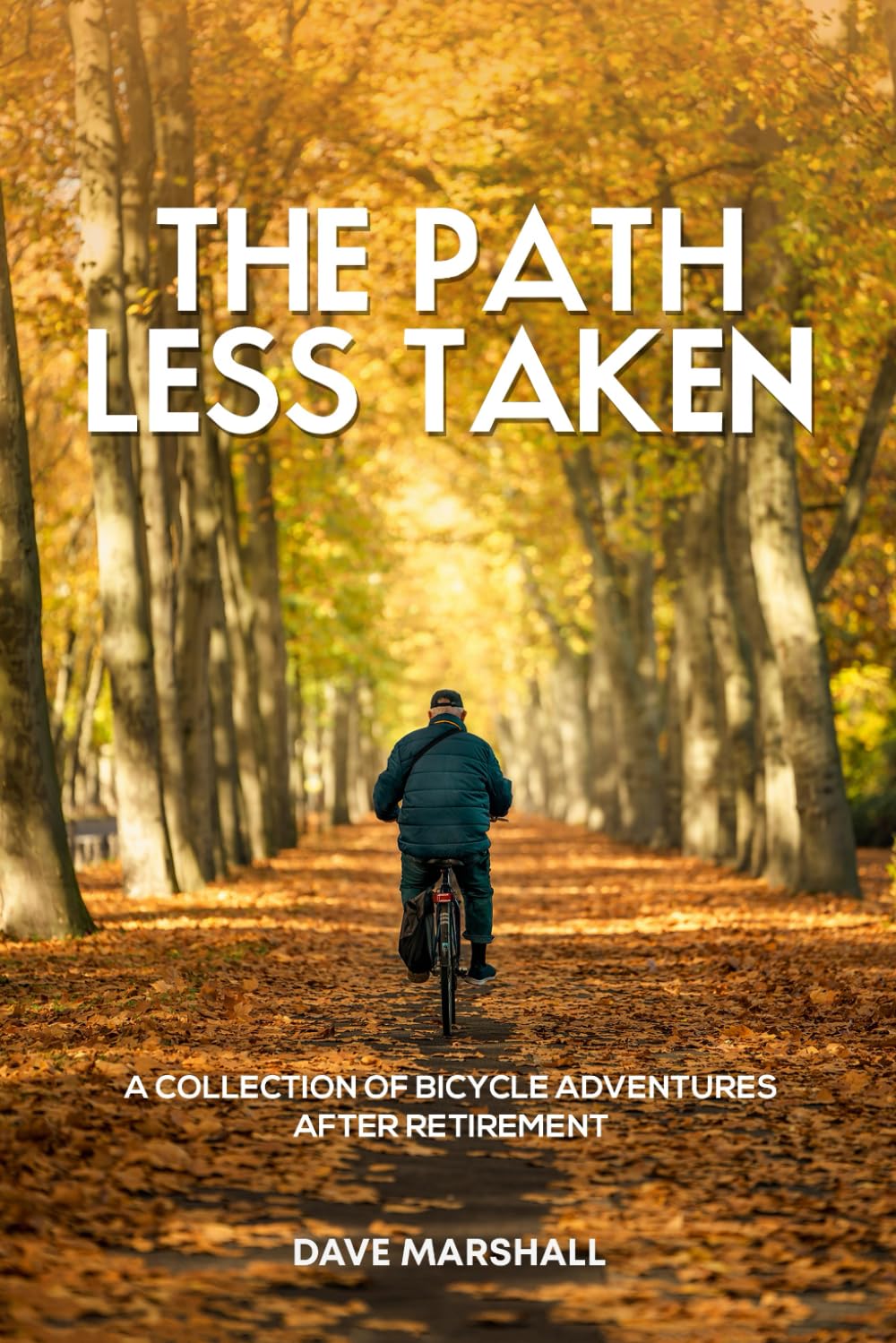 The Path Less Taken: A retired man’s bicycle journeys from 33,000 miles: Marshall, Dave ...