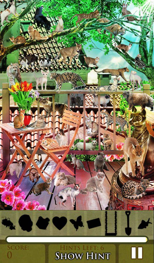 Where Are My Cats Hidden Object - App on the Amazon Appstore