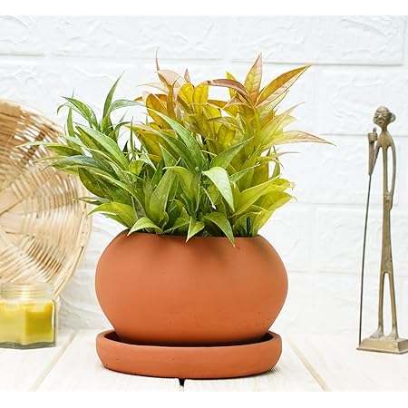 GOLD DUST Terracotta Pots, Clay Pots for Plants, Garden Pots for Plants ...